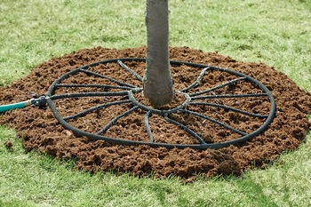 COVNA Newsletter 10/12